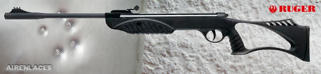 Ruger Explorer