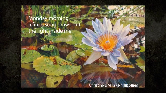 BLOSSOM RAIN: AWARDS