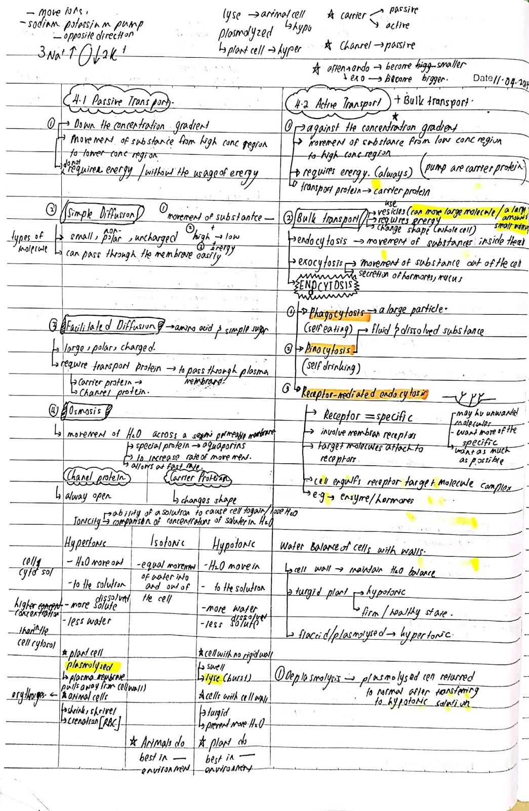 MUFY Biology Semester 1 Notes (RAW)