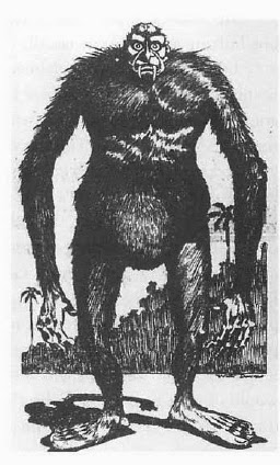 Yowie Sightings