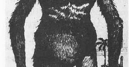 Yowie Sightings - Unsolved Mysteries In The World