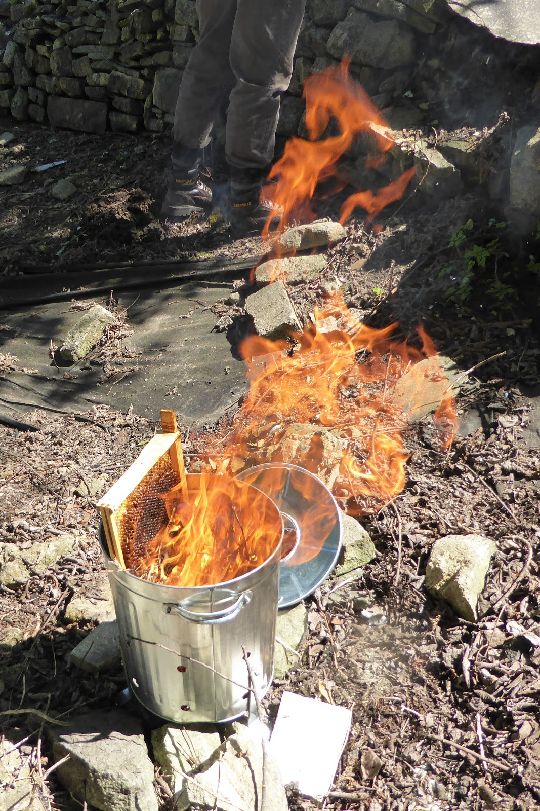 The Southdown Apiary: January 2018