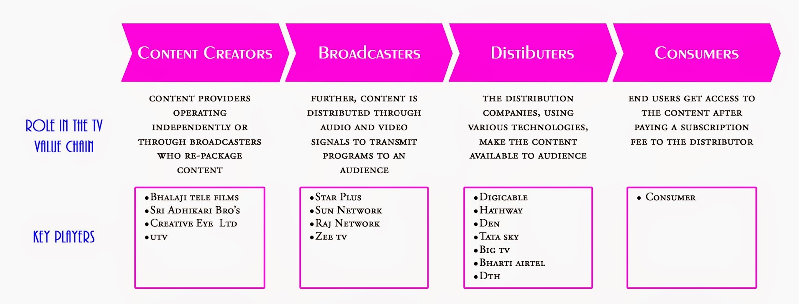 MARKETING STRATEGIES OF RAJ TELEVISION NETWORK LTD