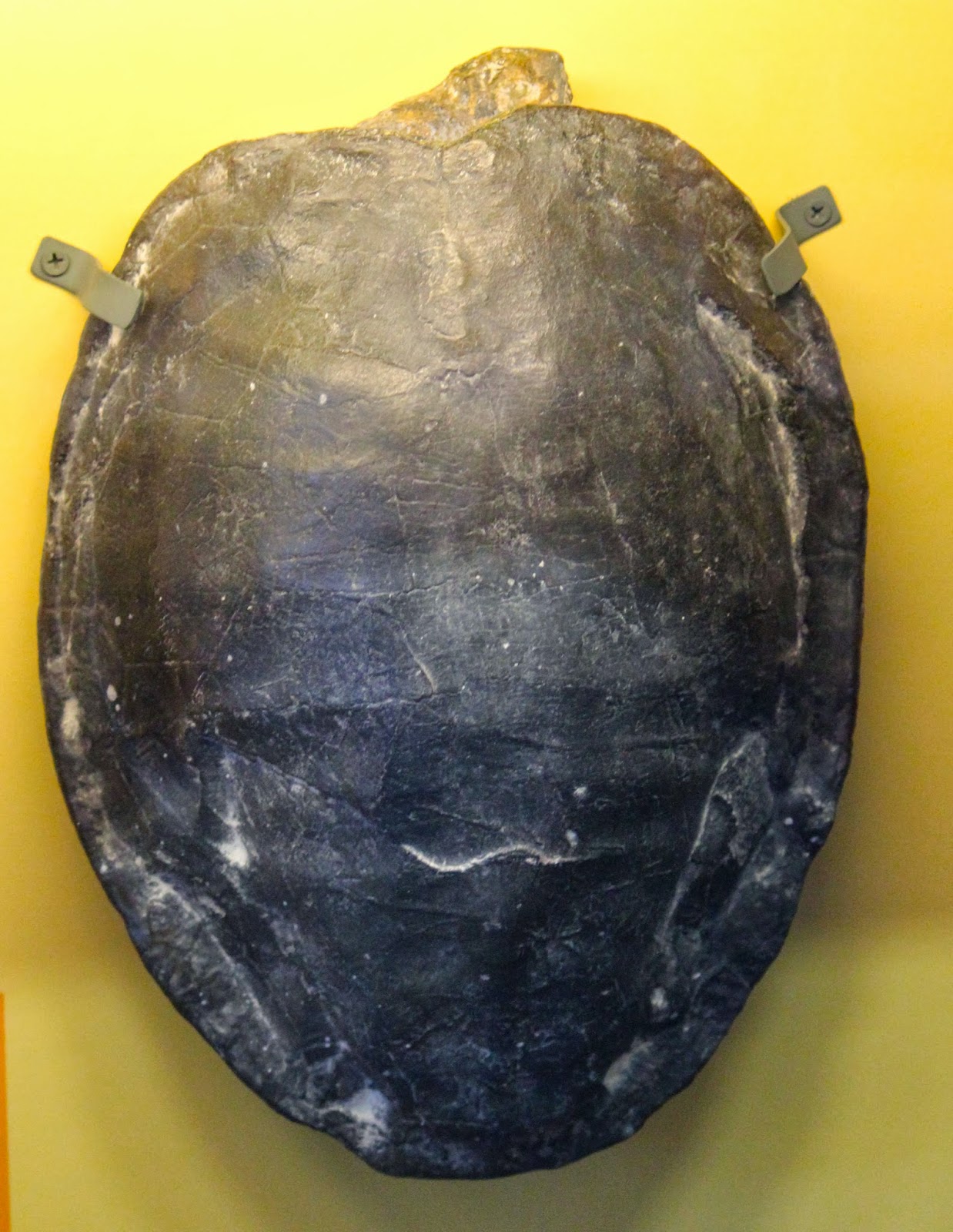 The Natural World: September 2013