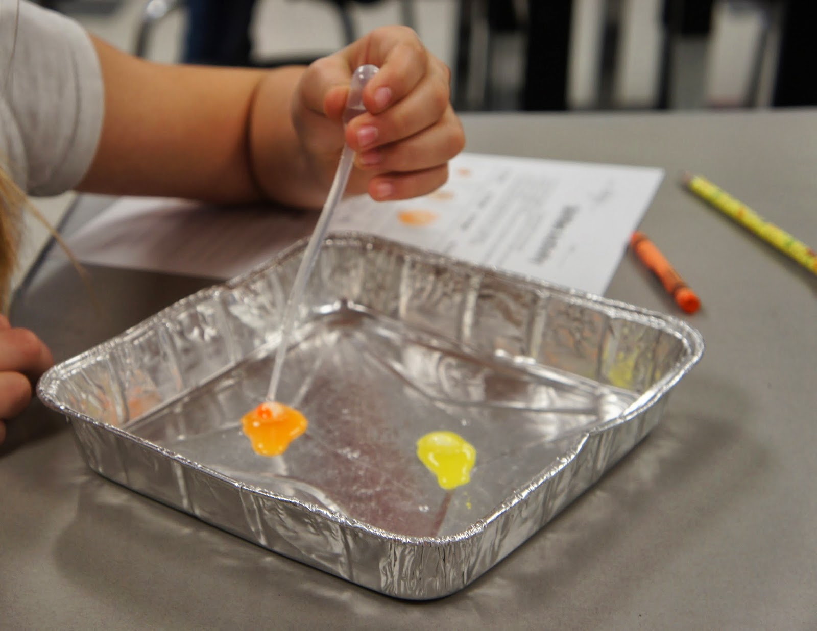 Science Pictures and a Multiplication Freebie | Ashleigh's Education ...