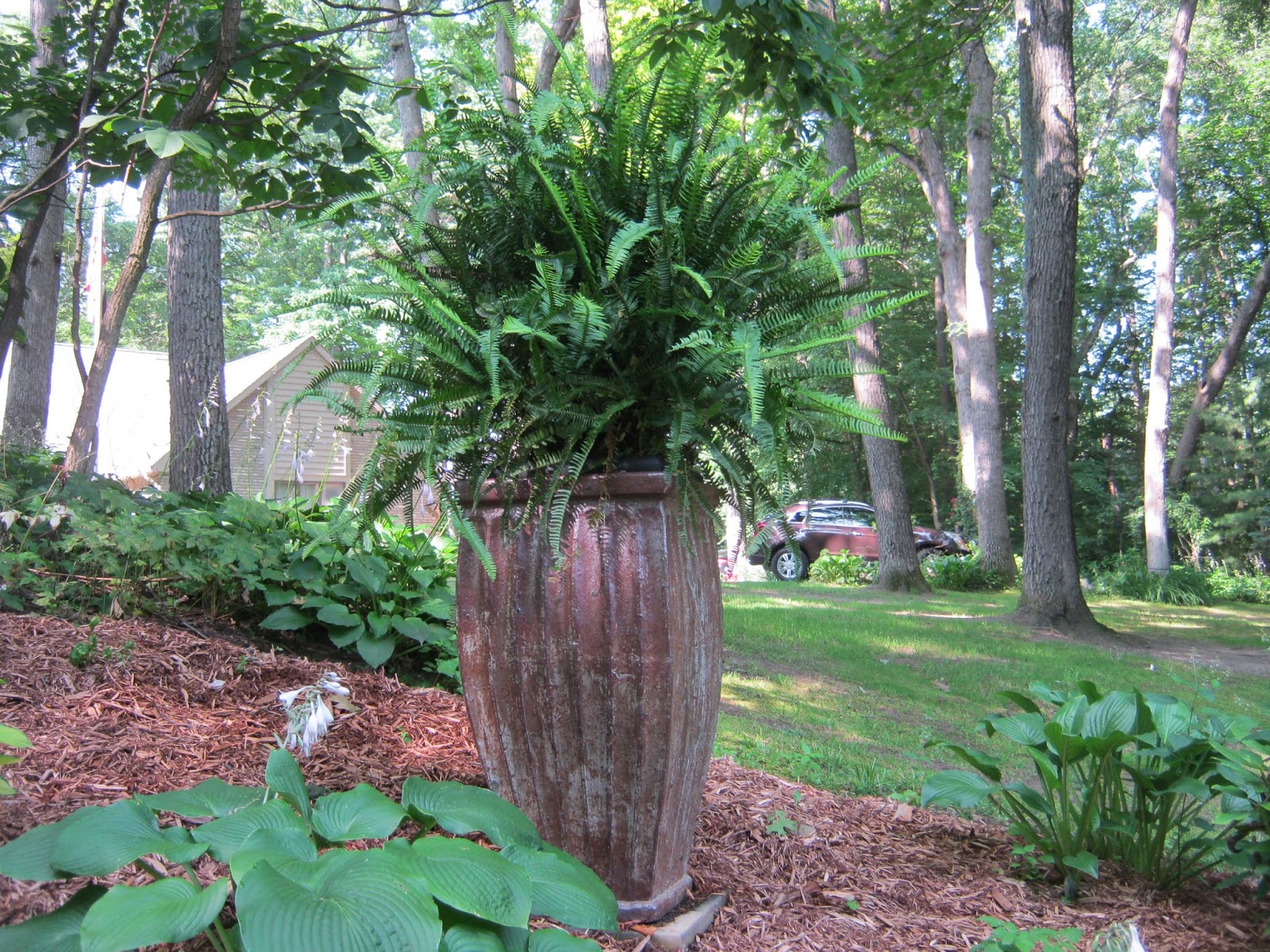 Primitive Passion Decorating: Lacasa Garden Pics continued~