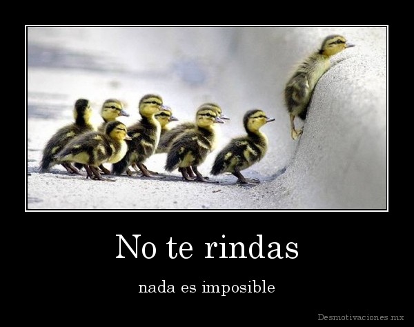 Pero... no te rindas... Reflexion para levantar el animo | Angel de Amor