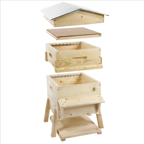 CORONA APICULTORES: COLMENA DADANT