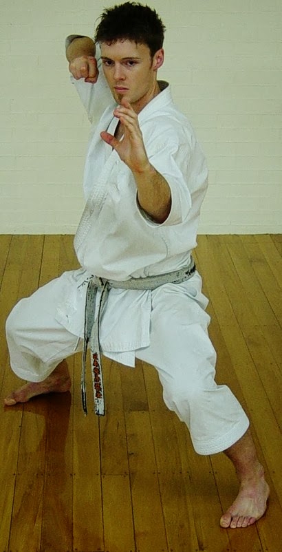 André Bertel's Karate-Do: January 2014