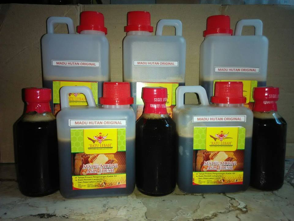 jual madu asli malang, jual madu asli surabaya, jual madu asli klanceng ...