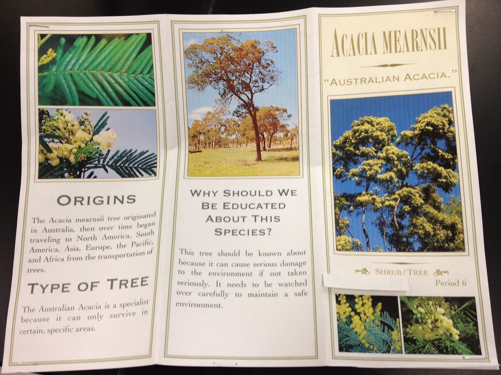 Maryanne's Science Class Ideas: Invasive Species Brochures