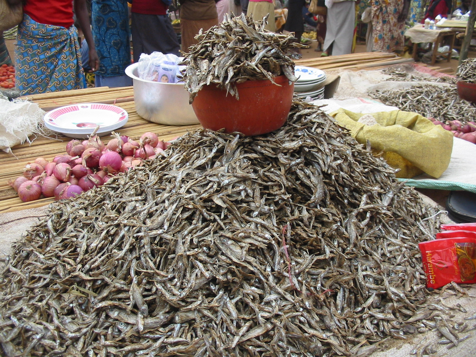 Rwanda on the Wing: Eating lower on the food chain