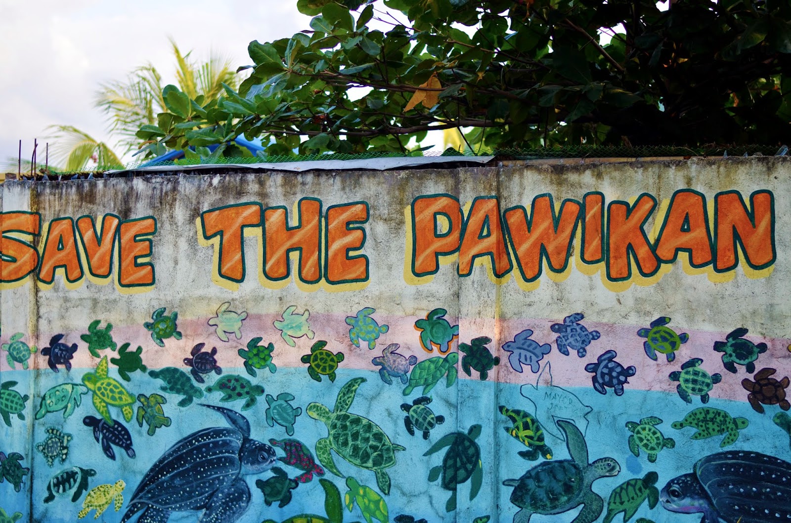 H E L L O ♥ K I M M Y : Pawikan Conservation Center - Morong, Bataan