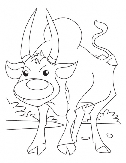 Ox Coloring Pages | Kids coloring pages