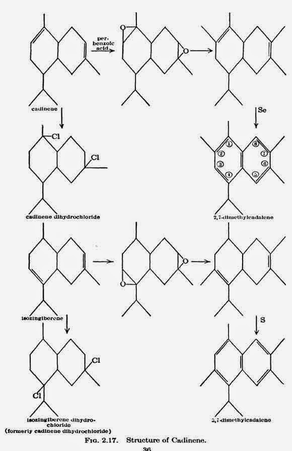 THE CHEMISTRY OF ESSENTIAL OILS