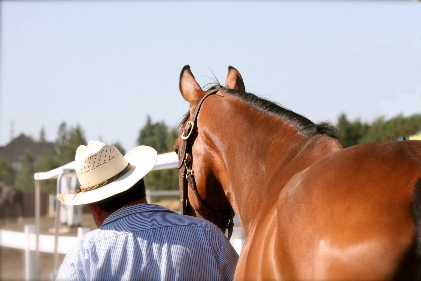 High Desert Veterinary Tales: Spring Vaccination Clinic Schedule and More