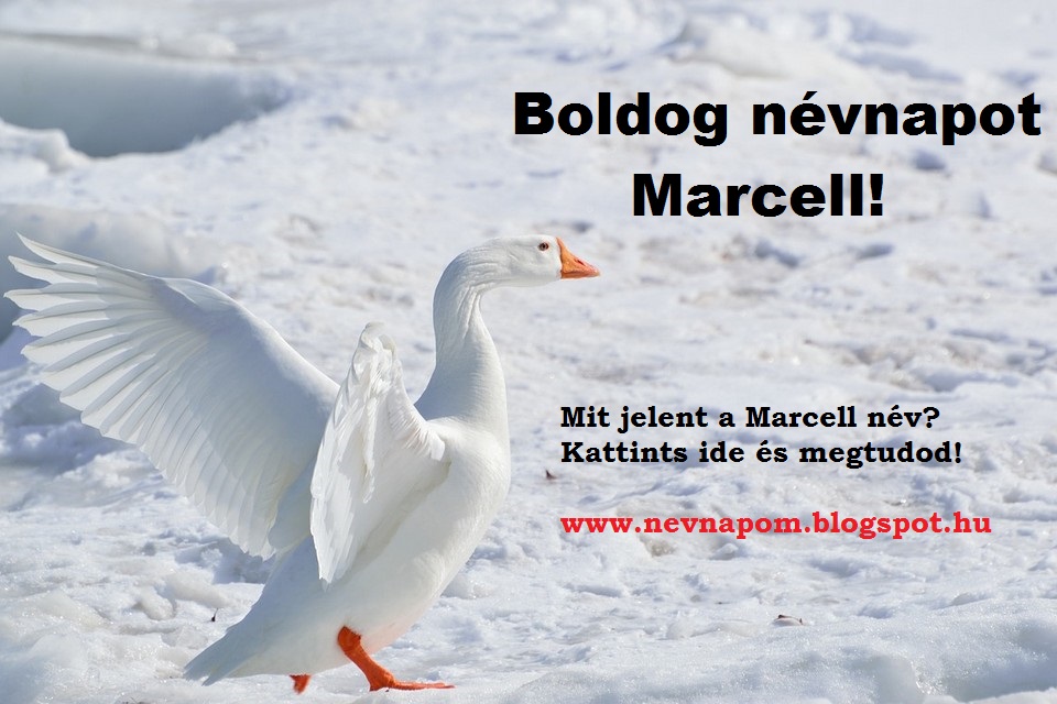 Milyen névnap van ma?: Marcell