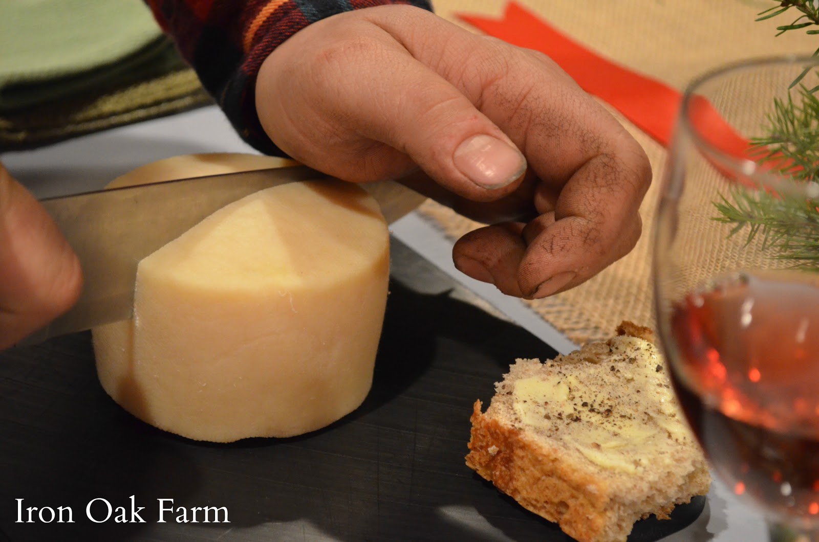 Iron Oak Farm: Holy Cheese! Our First Swiss Tasting