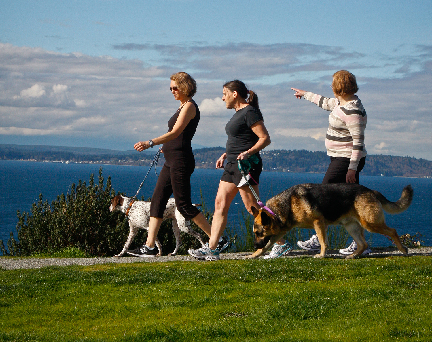 Shoreline Area News: City of Shoreline launches “Shoreline Walks ...