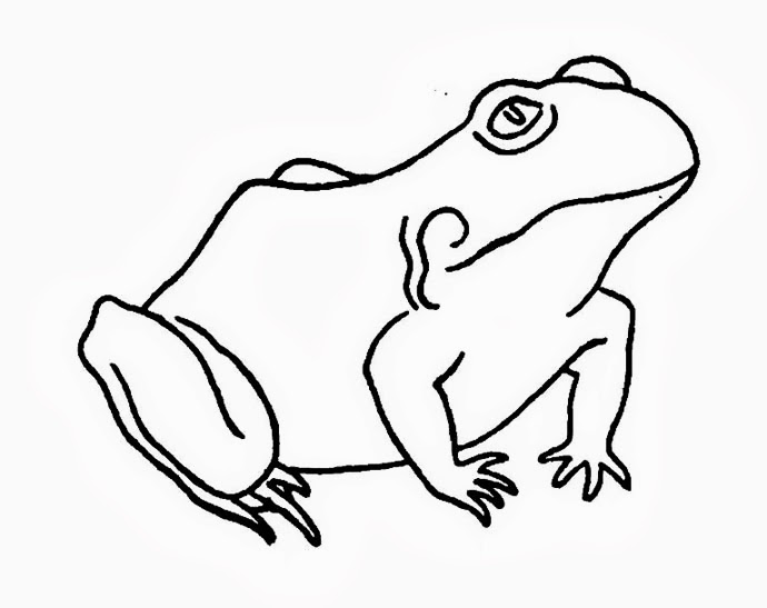 Piešiniai ir darbeliai: Spalvinimo paveiksliukas - Varlė