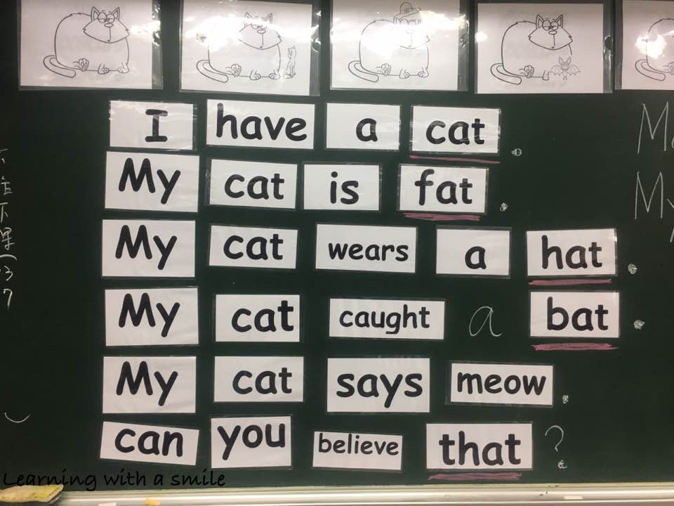 Dory's Daily : 【閱讀】Word family poem: My Fat Cat