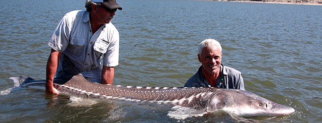 NOTICIAS Y EFEMERIDES MUSICALES Y DEL CINE: “MONSTRUOS DE RÍO” REGRESA ...