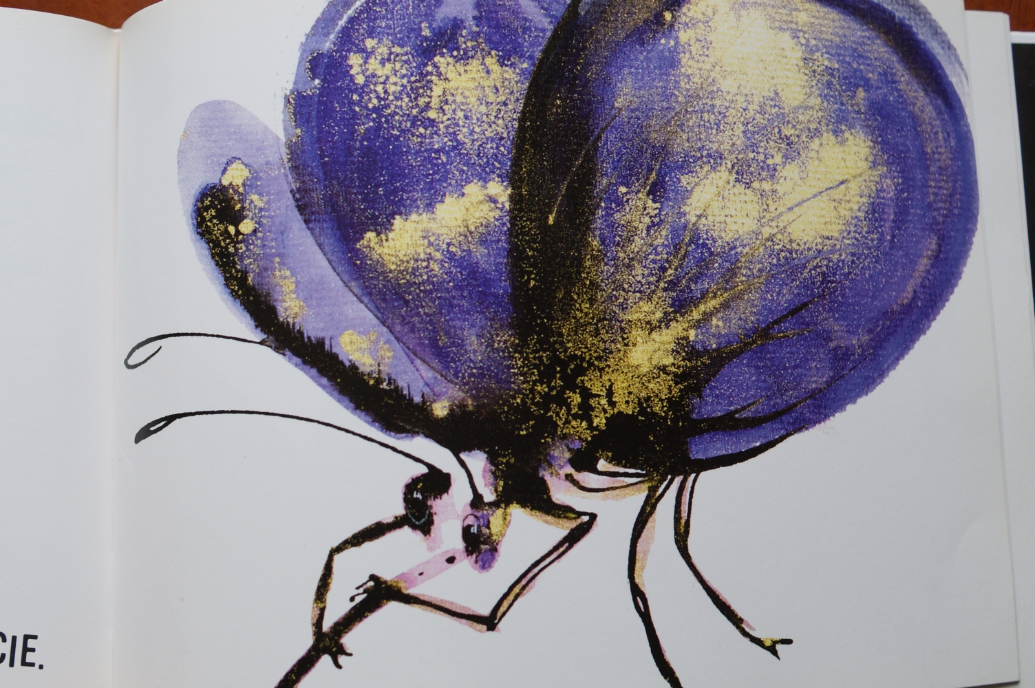 5kropek: Polscy ilustratorzy. Maria Ekier