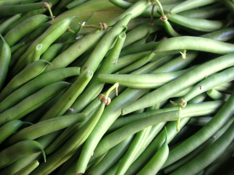 Herkkusuun lautasella Ruokablogi: Maissia ja papuja talteen