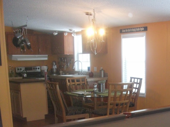 Mike and Lisa's World: Nicole's Kitchen Remodel…Part 1