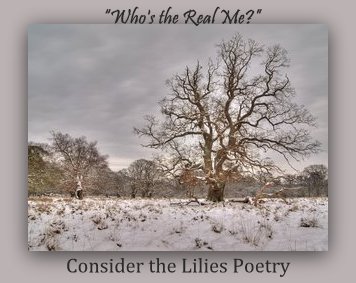 Consider the Lilies Poetry: Who's the Real Me?