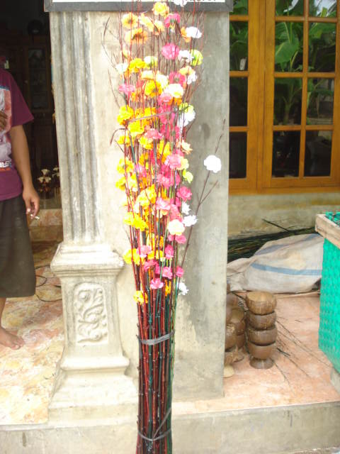 18+ Terbaru Bunga Bambu, Gambar Bunga