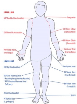The Site for Healthcare Professionals: A Conventional Method to Make a ...