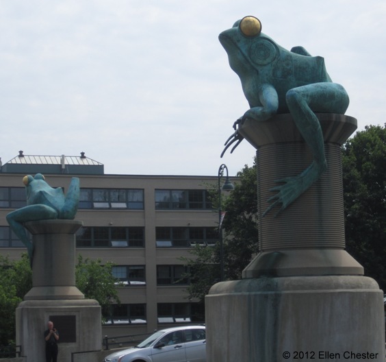 With My Needle: The "War of the Frogs"