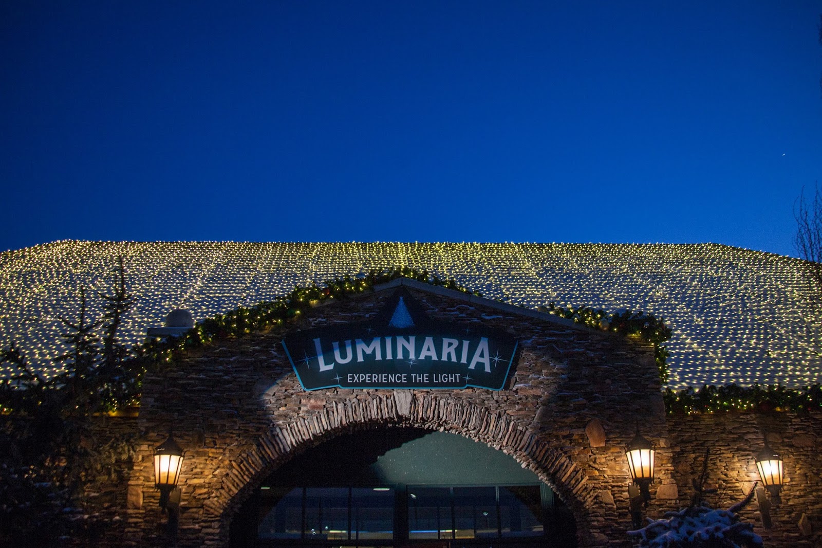 My Musings: Luminaria