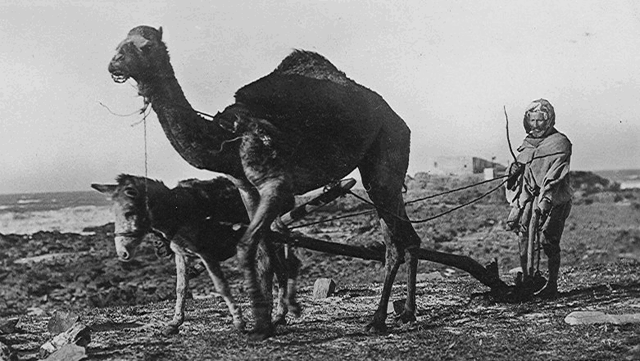 Have You Fought the Yoke?