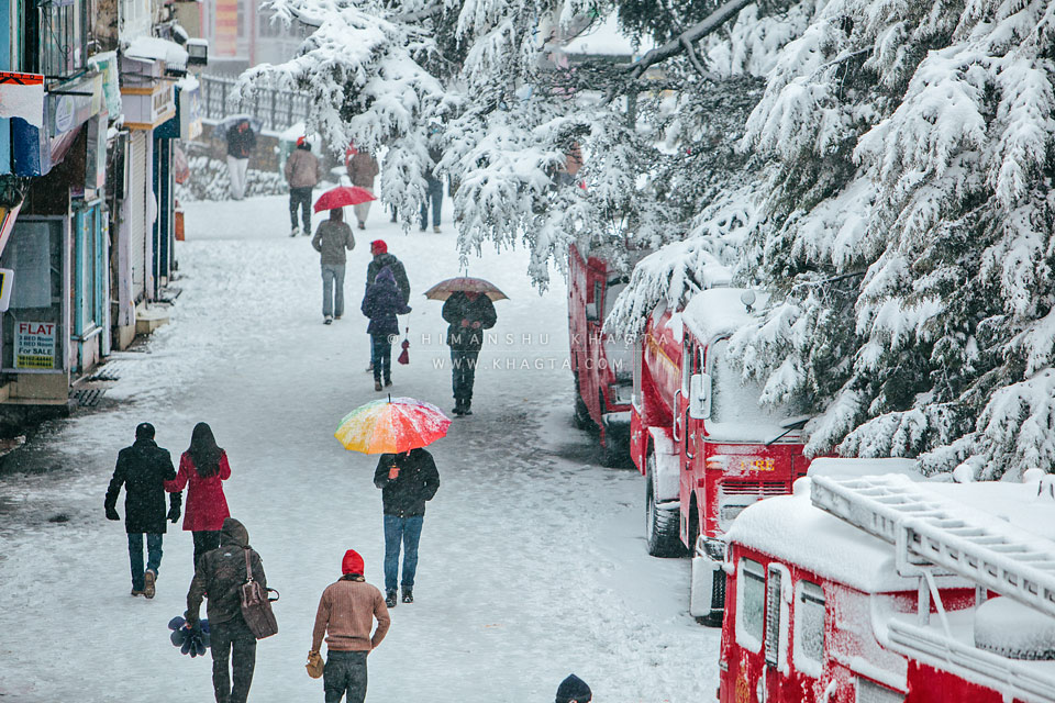 Shimla rejoices as snowfall finally hits region - We love Himachal