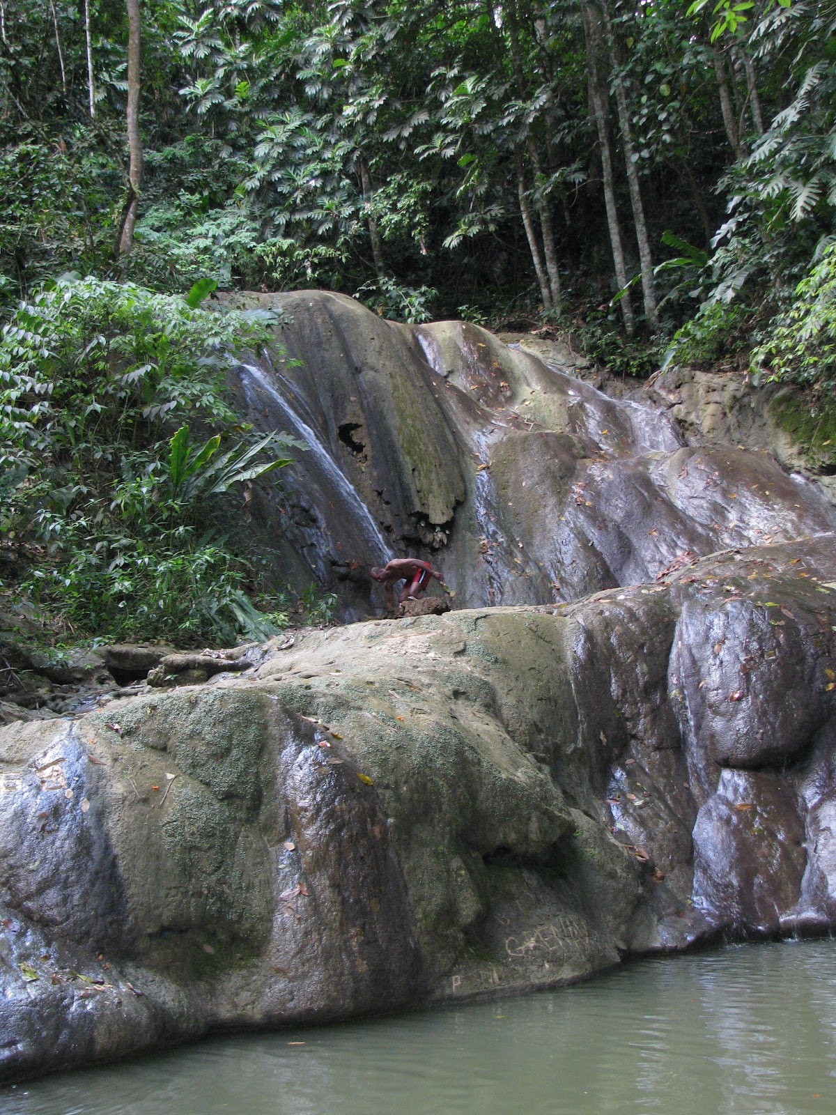 Trekker Musings: Road Trip to Aripo Heights