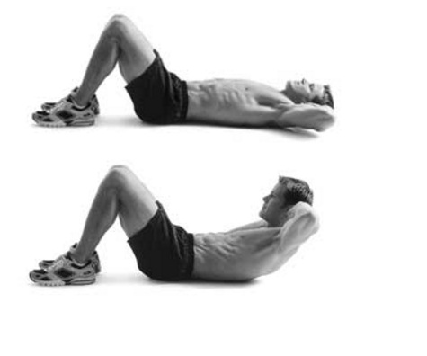 Muscle Intelligence: The Myths About Abs