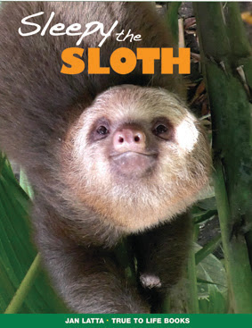 Kids' Book Review: Review: Sleepy The Sloth