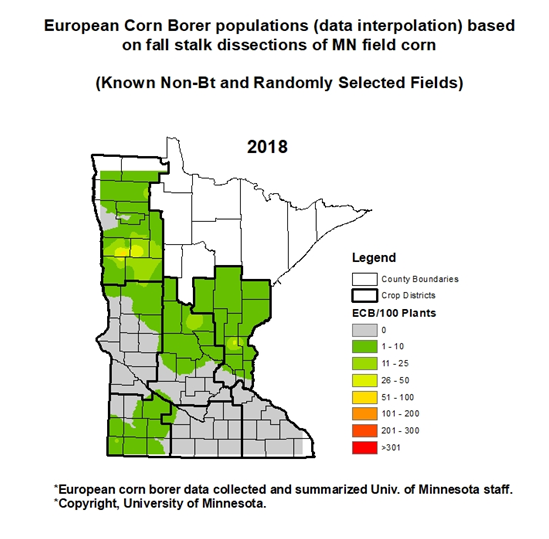 Reducing Bt trait acres in 2019 MN corn? - Morning Ag Clips
