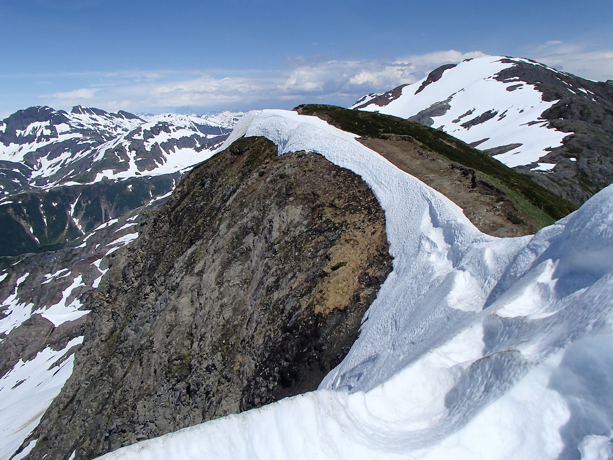 Mt Roberts, Gastineau, and Gold Ridge Trail Guide | Perfect Little Planet