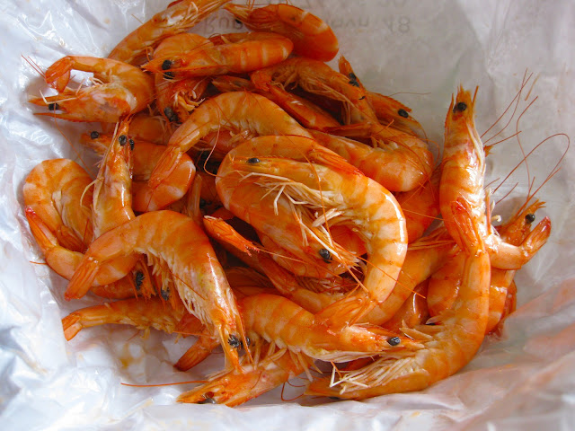 Friske vietnamesiske forårsruller med rejer og sød chili-dyp