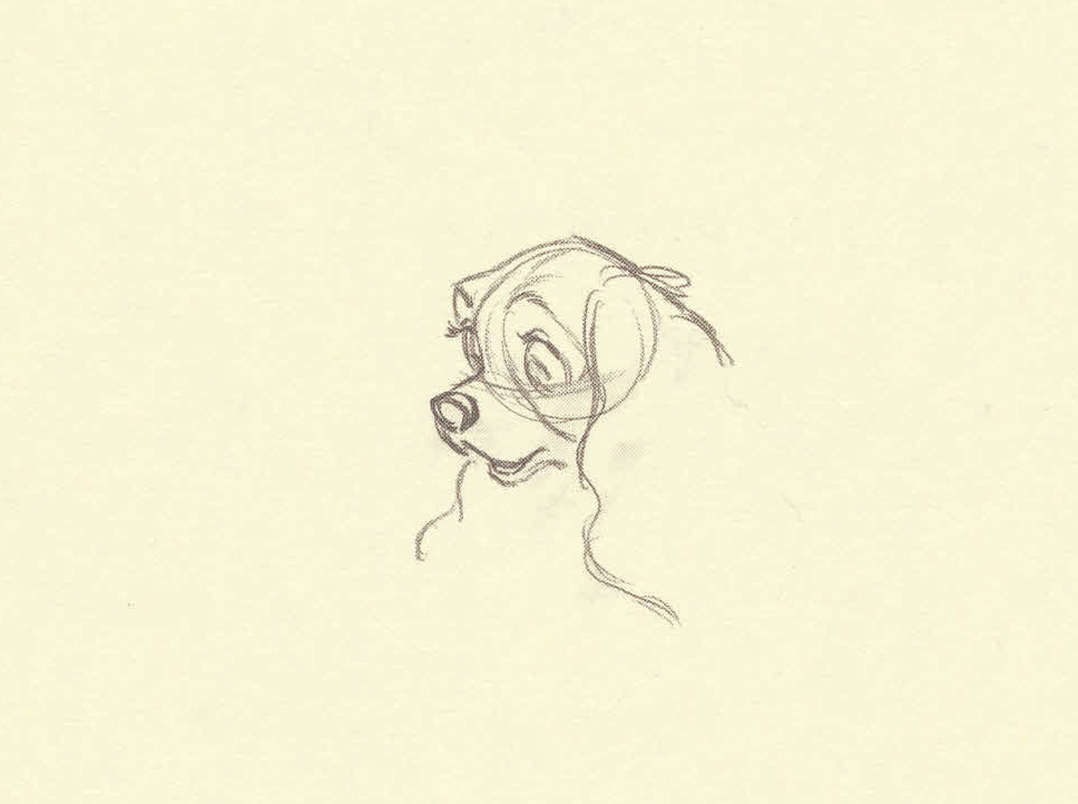 Living Lines Library: Lady and the Tramp (1955) - Character Design ...