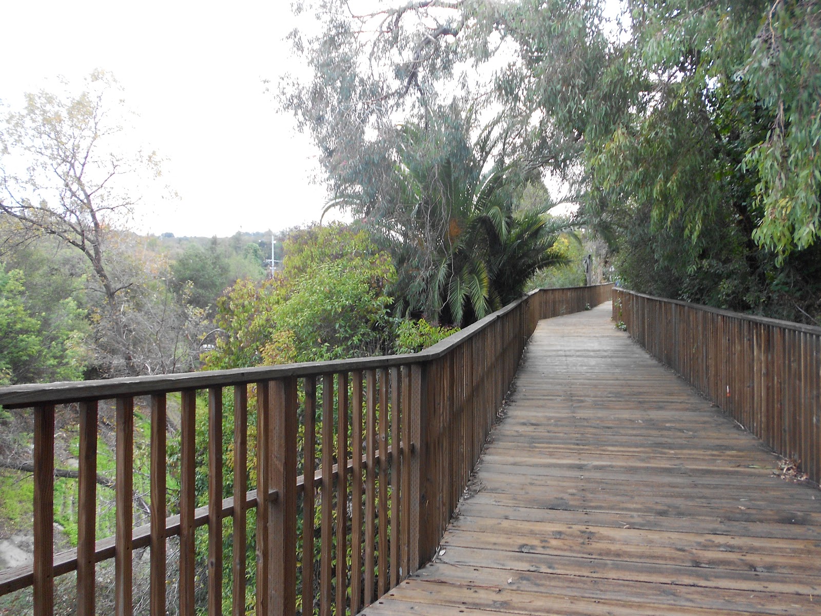 They Call Me Aventurera: Los Gatos Creek Trail/ Vasona Park