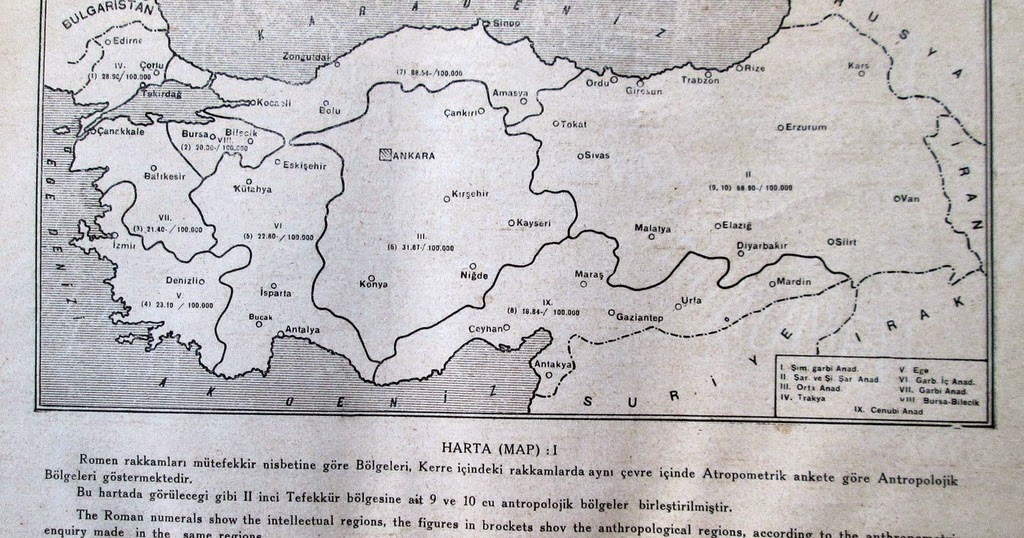 ΦΥΛΕΤΙΚΑ: Η ανθρωπολογία της Τουρκίας