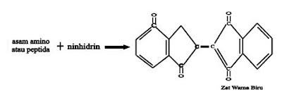 Uji Protein I | Maret_Z #8