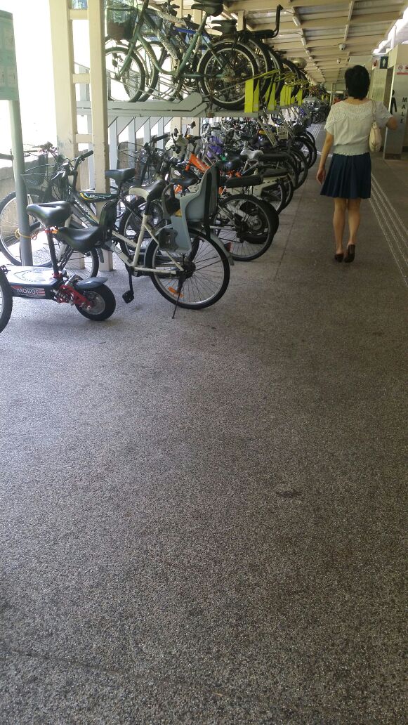 My Walks and Bicycle Rides: PCN Central Urban Loop Singapore