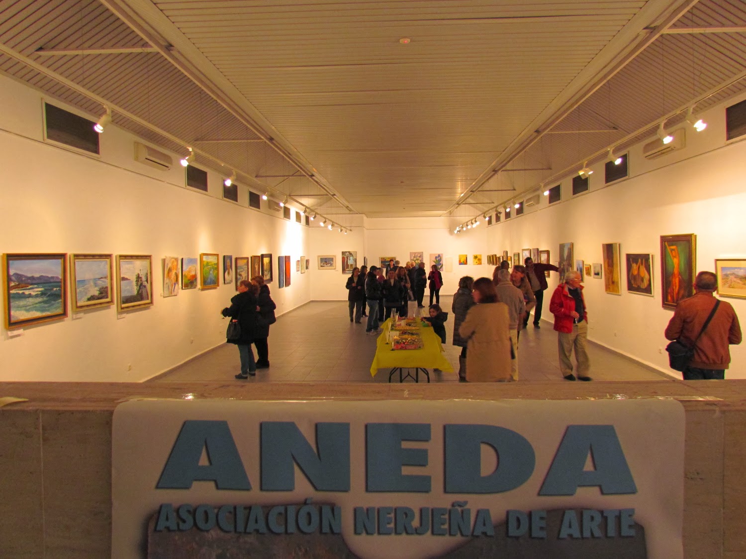 PEQUEÑO MAR DEL SUR: ANEDA inaugura exposición concurso en la Sala Mercado.