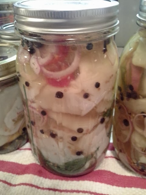 You have to cook it right: Pickled Northern Pike an Adventure Long Overdue