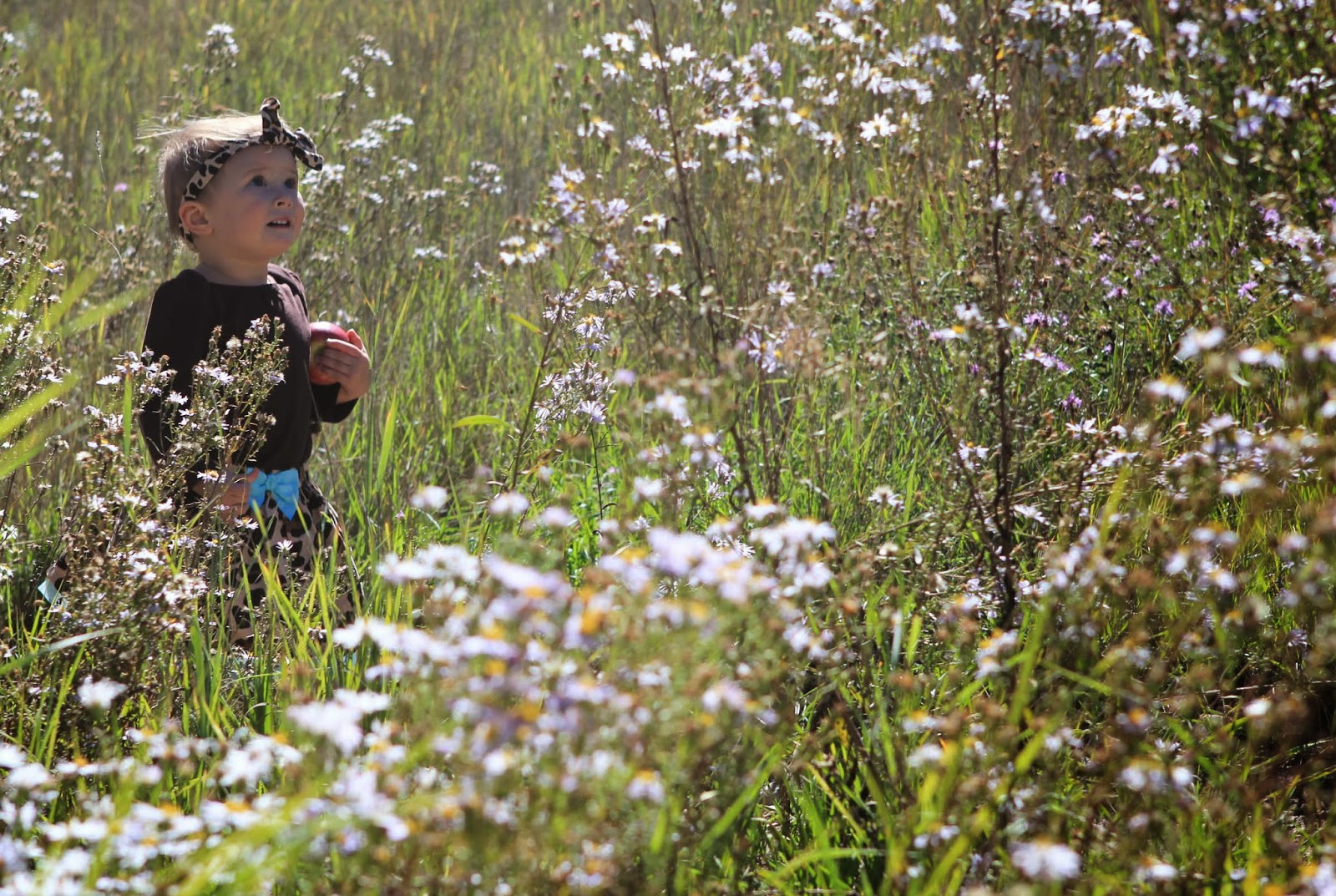 A Little Cuppa Tea: Fall: Sundance, Utah & Wyoming